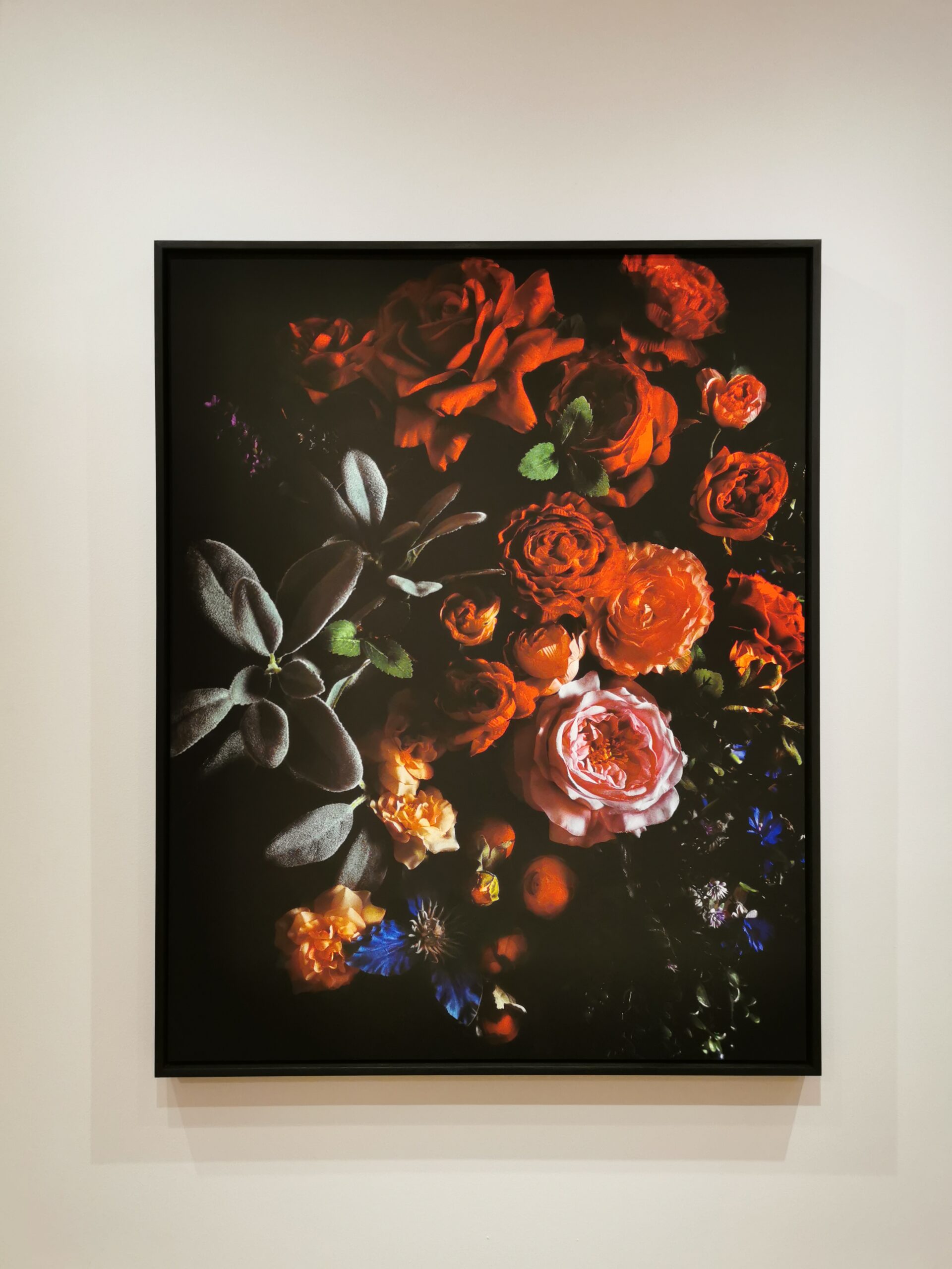 Vabljeni na ogled razstave S popolnoma drugačnimi očmi | Riko